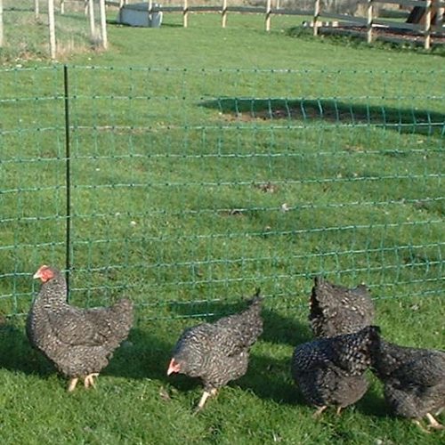 150m Electric Poultry Netting Kit - Choose Your Energiser and Accessories